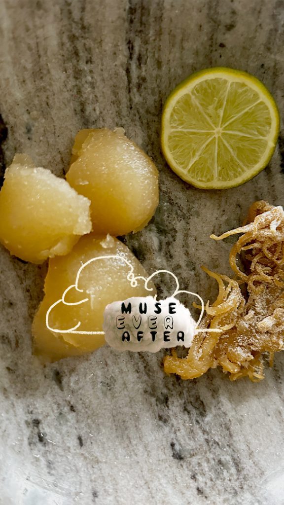Sea Moss Gel Recipe - Muse Ever After